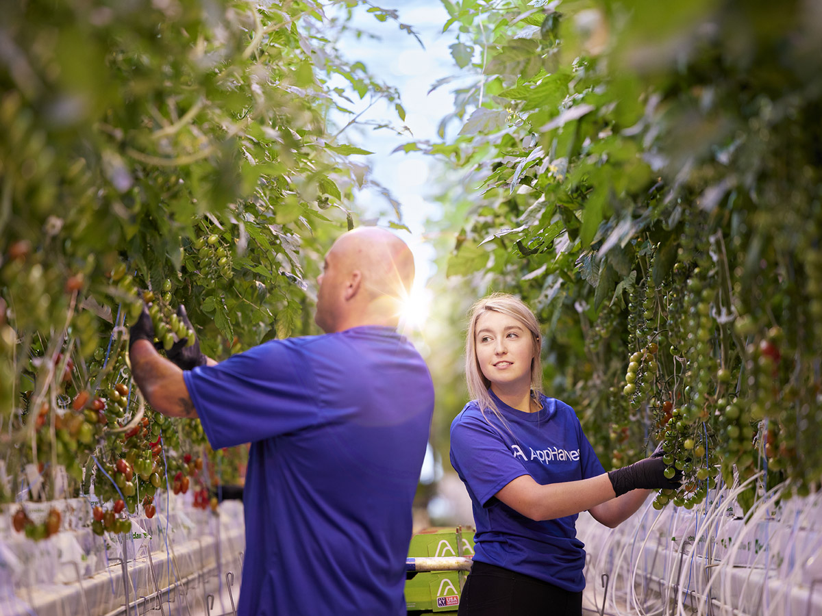 AppHarvest Home — AppHarvest