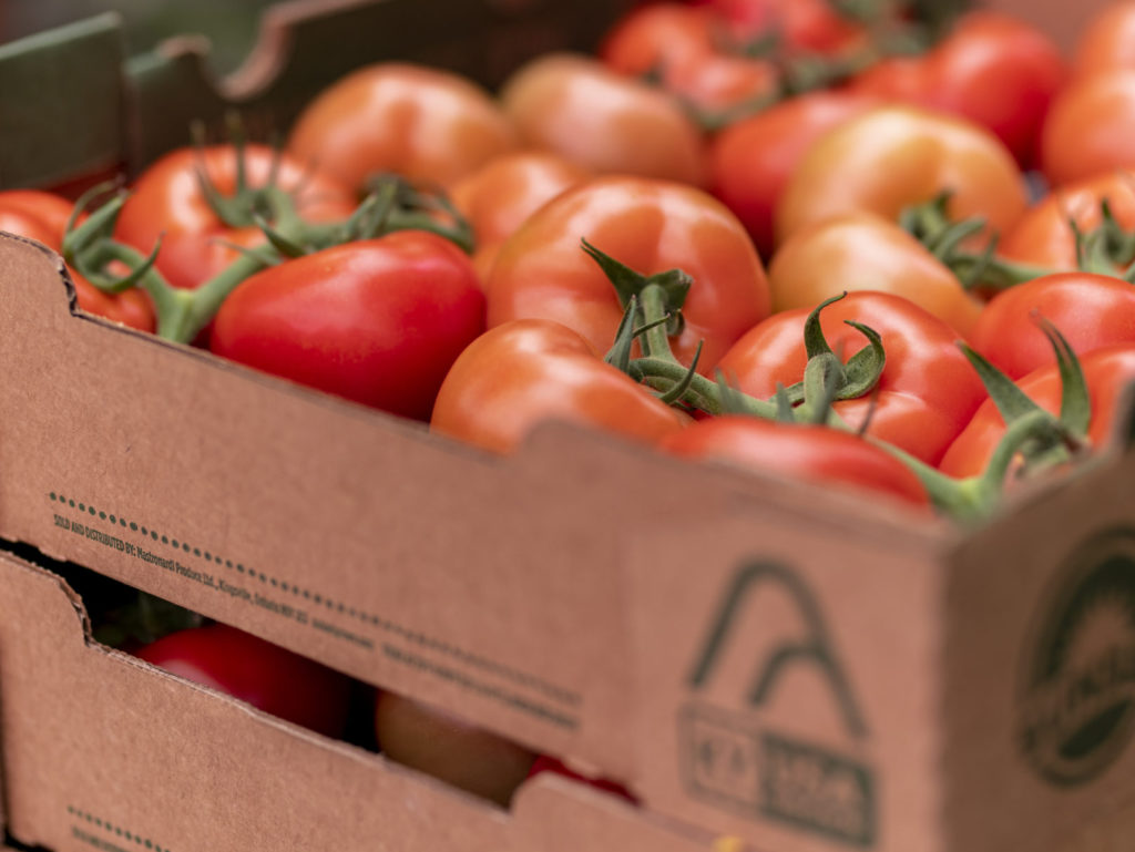 AppHarvest Home — AppHarvest