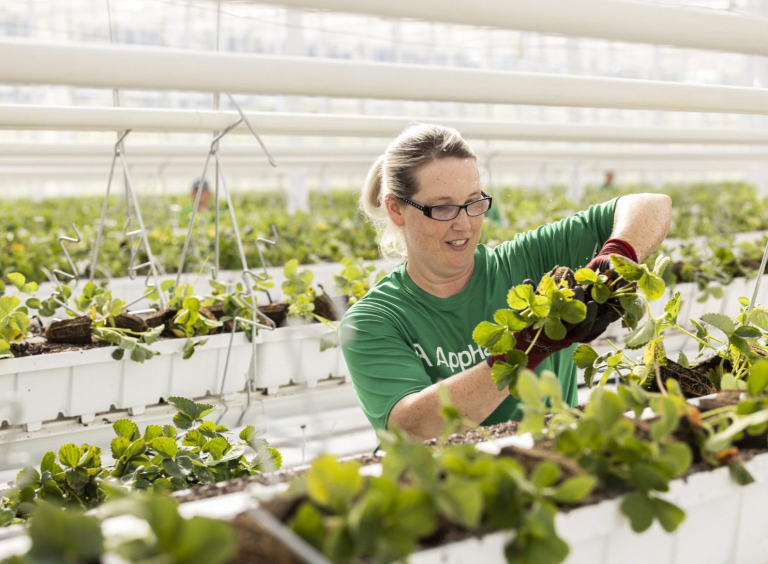 AppHarvest Home — AppHarvest